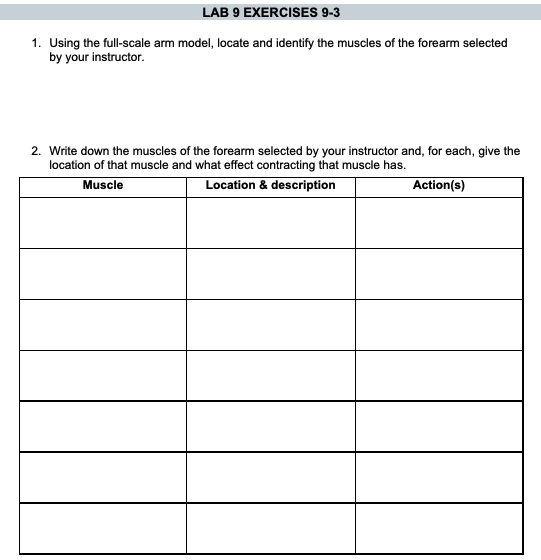 Solved LAB 9 EXERCISES 9-3 1. Using the full-scale arm | Chegg.com