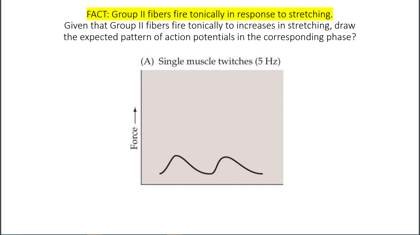 FACT: Group II fibers fire tonically in response to | Chegg.com