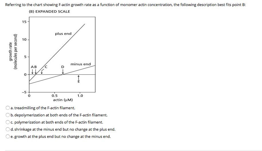Solved Referring to the chart showing F-actin growth rate as | Chegg.com