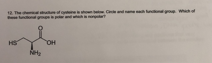 Solved 12. The chemical structure of cysteine is shown | Chegg.com