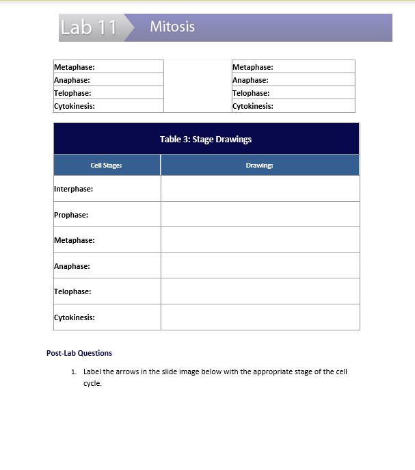 32 1. Label The Arrows In The Slide Image Below With The Appropriate ...