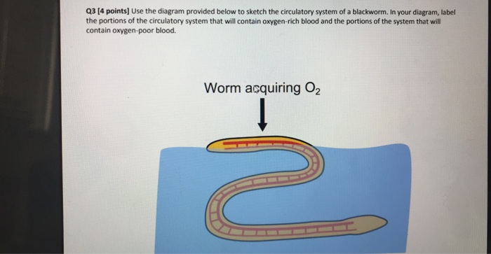 Solved Q3 [4 points] Use the diagram provided below to | Chegg.com