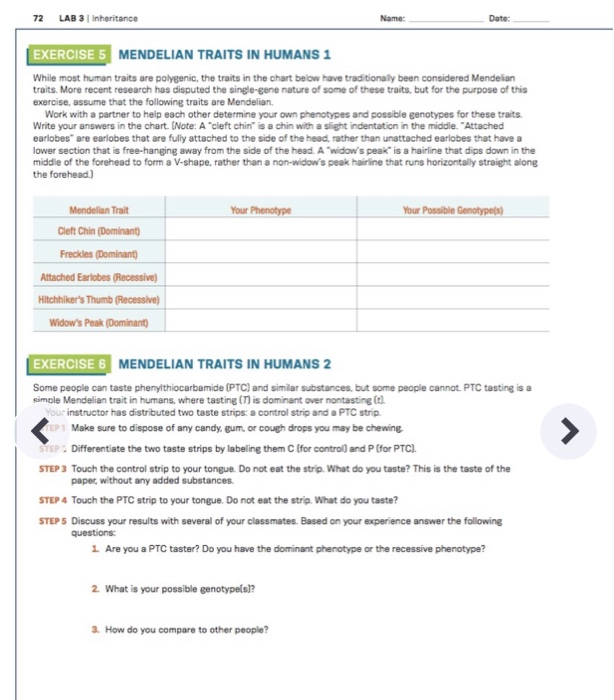 Solved 72 LAB 3 Inheritance Name: Date EXERCISE S MENDE LIAN | Chegg.com