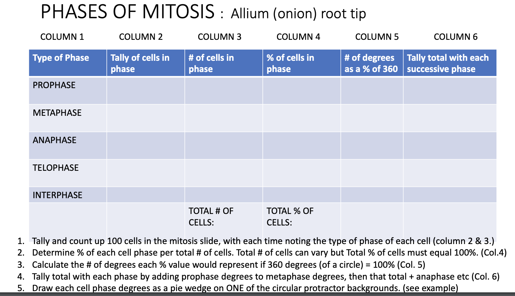 Solved Mitosis slide: specimen Allium root tip. PROPHASE | Chegg.com