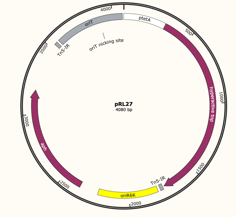 Solved please (TYPE) all the answers, I do not want | Chegg.com
