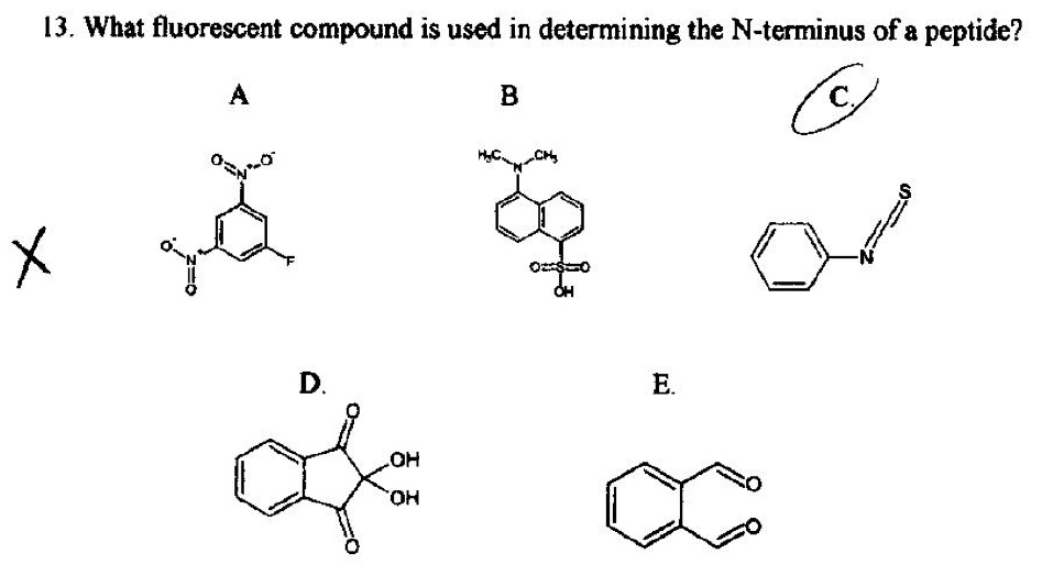 Solved 3. What fluorescent compound is used in determining | Chegg.com