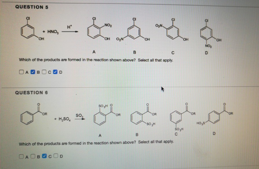 Solved QUESTION 5 O2N Which of the products are formed in | Chegg.com
