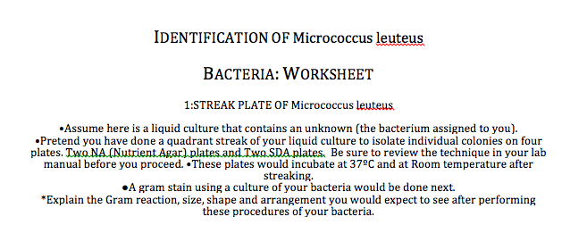 Solved IDENTIFICATION OF Micrococcus leuteus BACTERIA: | Chegg.com