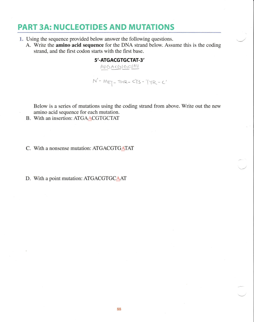 Solved PART 3A: NUCLEOTIDES AND MUTATIONS 1. Using the | Chegg.com