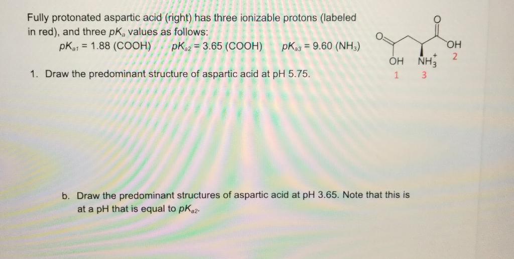 Solved Fully protonated aspartic acid (right) has three | Chegg.com
