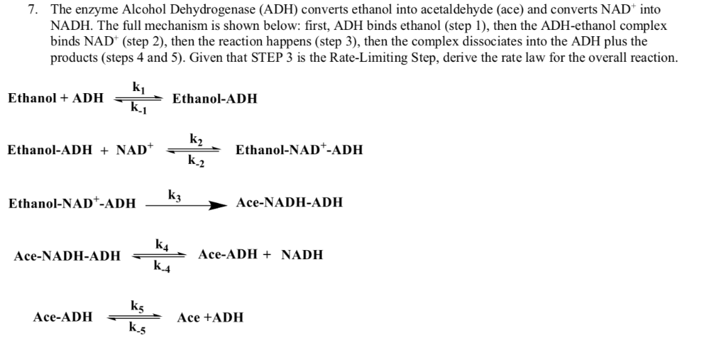Solved The enzyme Alcohol Dehydrogenase (ADH) converts | Chegg.com