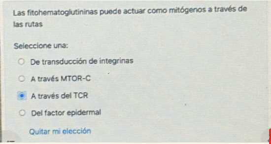 Solved The image shows a statement in Spanish followed by a | Chegg.com