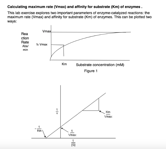 I I need help making a reaction rate graph | Chegg.com