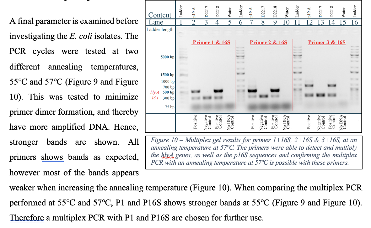 Solved Ladder p19 A D2217 AD2218 Water Ladder ap19 A P2217 | Chegg.com