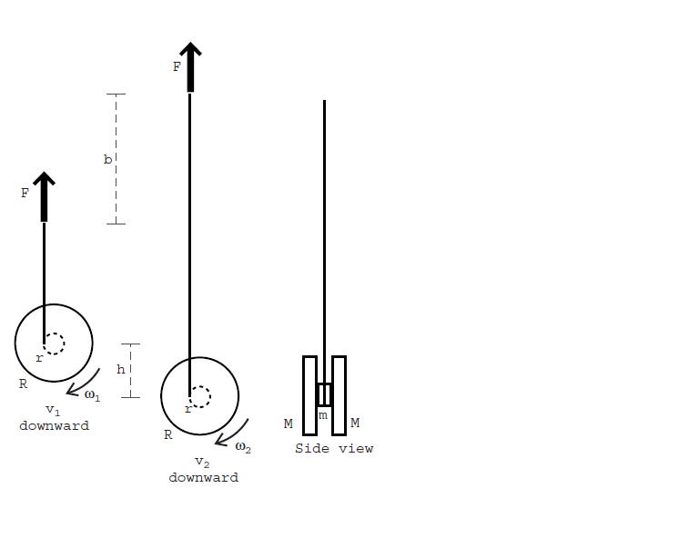Solved A yoyo is a toy made of three uniform density disks | Chegg.com
