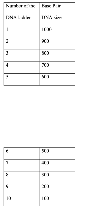1. Indicate the size of each diagnostic digest band | Chegg.com