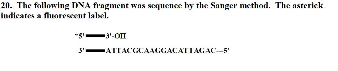 Solved 20. The following DNA fragment was sequence by the | Chegg.com