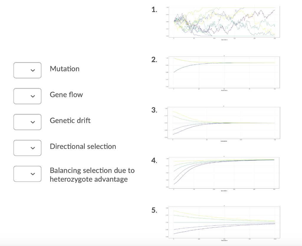 Solved Match each graph with the microevolutionary mechanism | Chegg.com