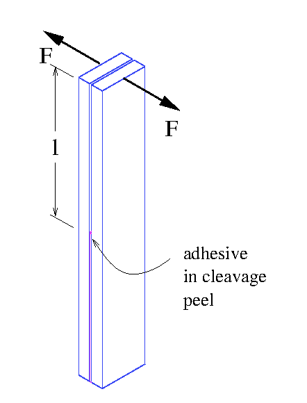 Solved Calculate the peeling strength. The applied force is | Chegg.com