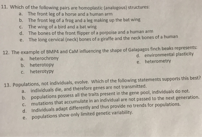 Solved 11. Which of the following pairs are homoplastic | Chegg.com