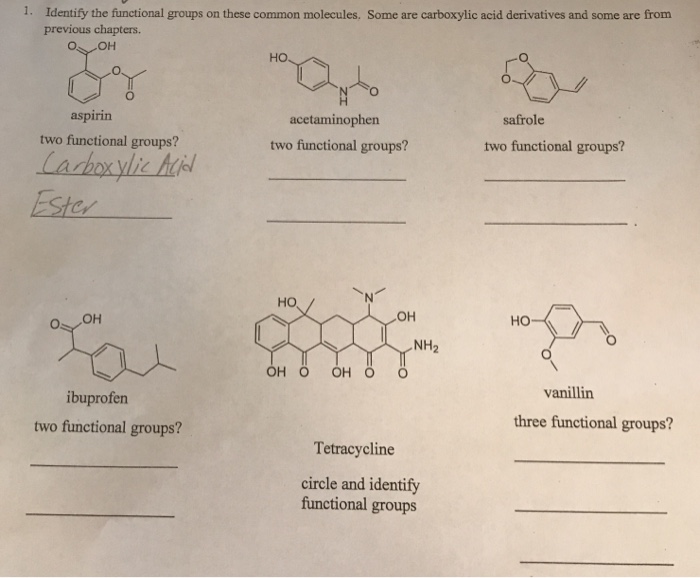 Solved Identify the functional groups on these common | Chegg.com