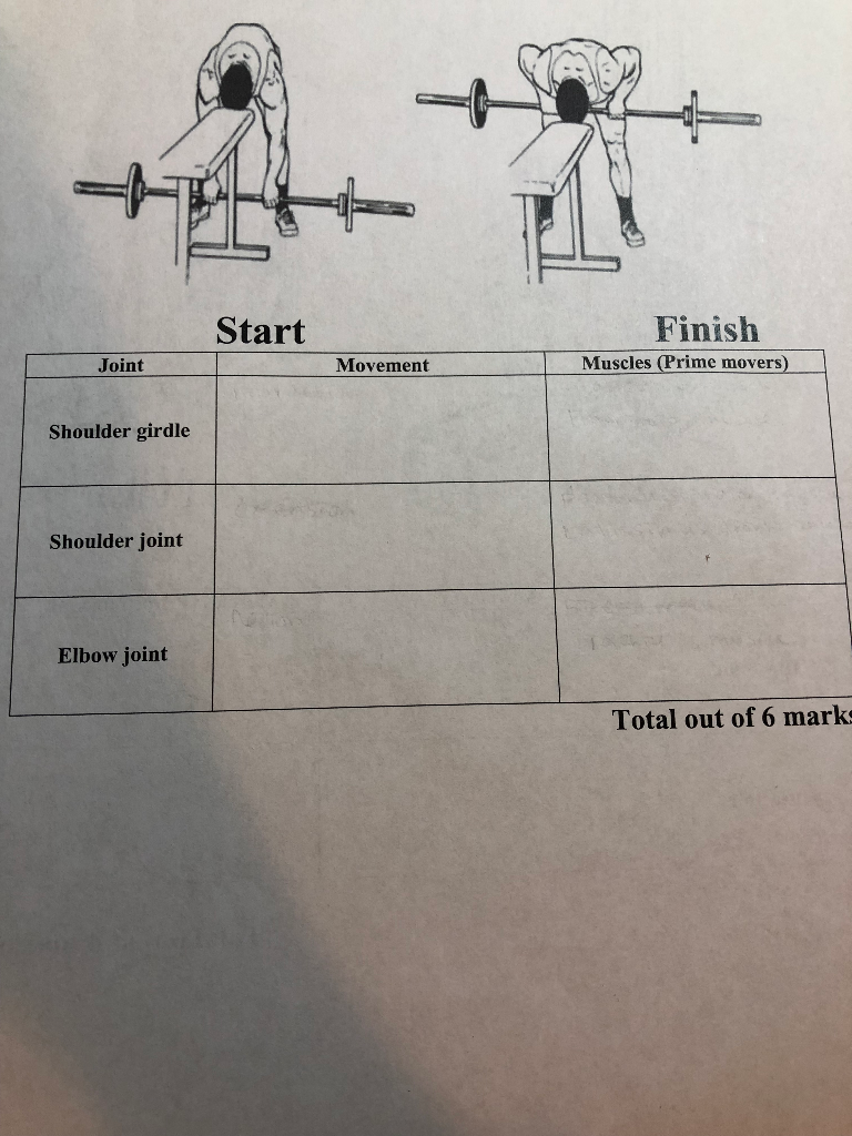 Solved Analyze the joint actions and muscles involved (prime | Chegg.com