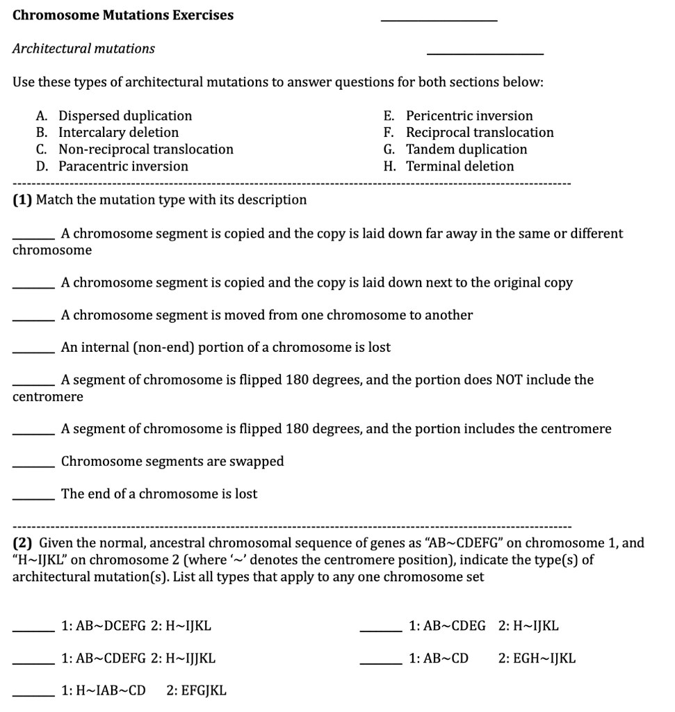 Solved Chromosome Mutations Exercises Architectural | Chegg.com