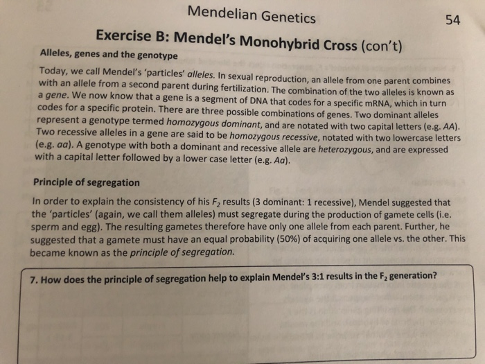 Solved Mendelian Genetics 54 Exercise B: Mendel's Monohybrid | Chegg.com