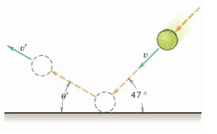 Solved A tennis ball is projected toward a smooth surface | Chegg.com
