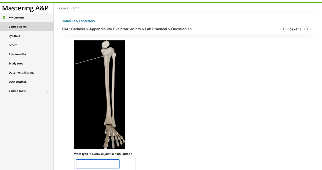 Solved Appendicular Skeleton: Joints > Lab Practical > | Chegg.com Solved Appendicular Skeleton: Joints > Lab Practical > | Chegg.com
