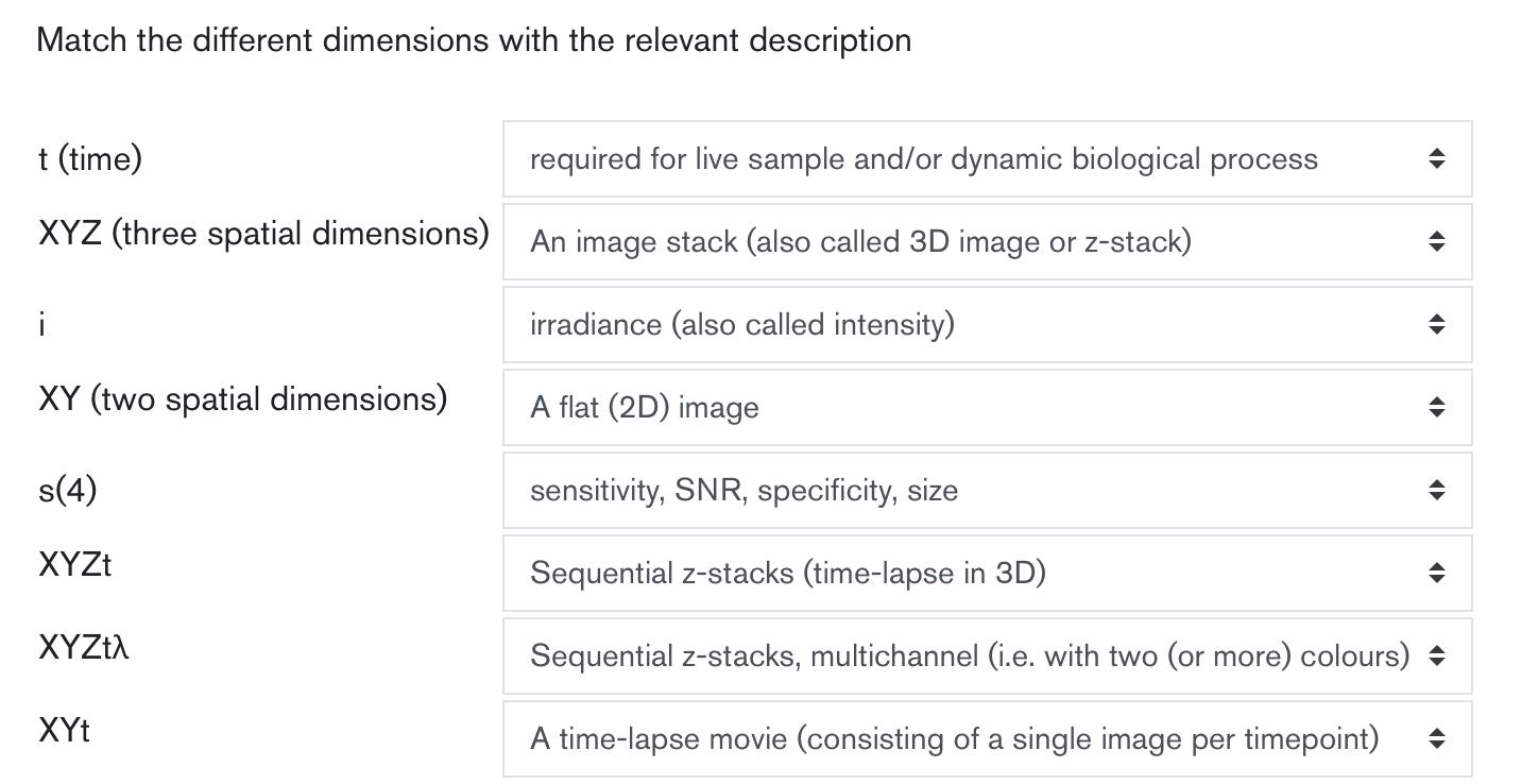 Solved Match the different dimensions with the relevant | Chegg.com