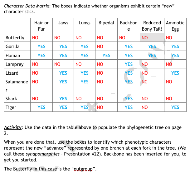Solved e NO NO Character Data Matrix: The boxes indicate | Chegg.com