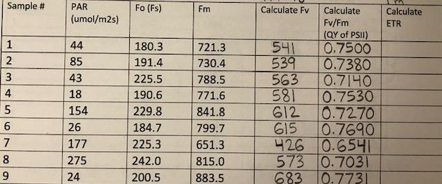 Solved Calculate ETR and place the samples in order of which | Chegg.com