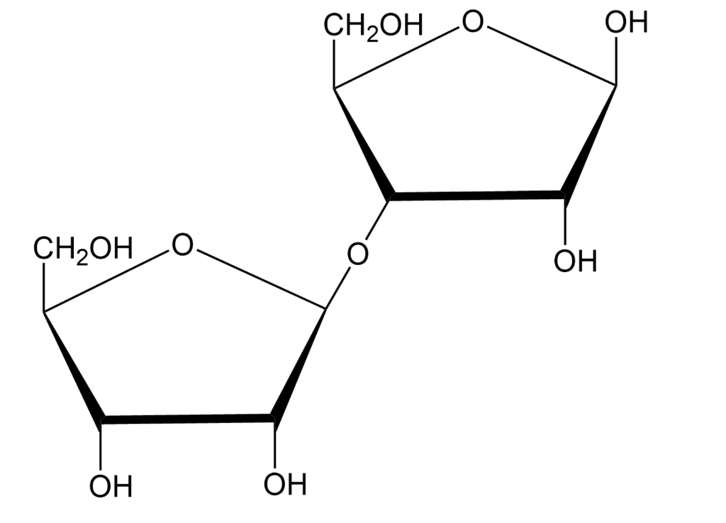 Solved In the diagram of a disaccharide, describe the anomer | Chegg.com