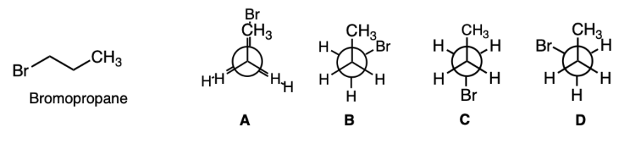 Solved Consider the four Newman projections of bromopropane | Chegg.com