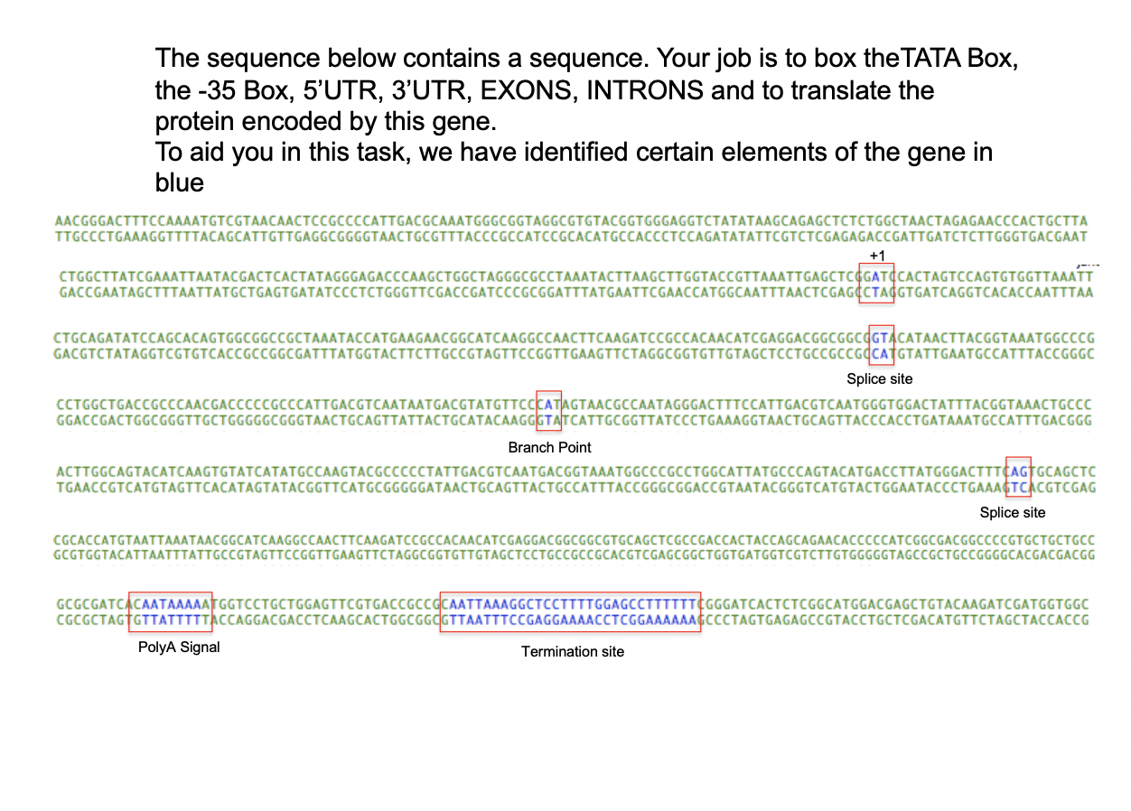 Solved The sequence below contains a sequence. Your job is | Chegg.com