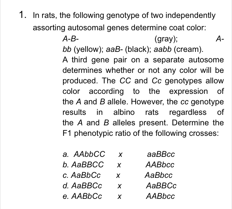 Solved 1. In rats, the following genotype of two | Chegg.com
