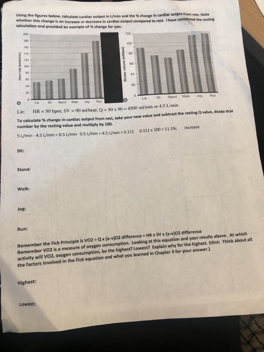Solved Using the figures below, calculate cardiac output in | Chegg.com