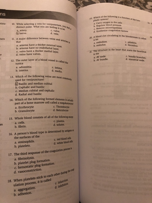 Solved ns of the following is a function of phatic system? | Chegg.com