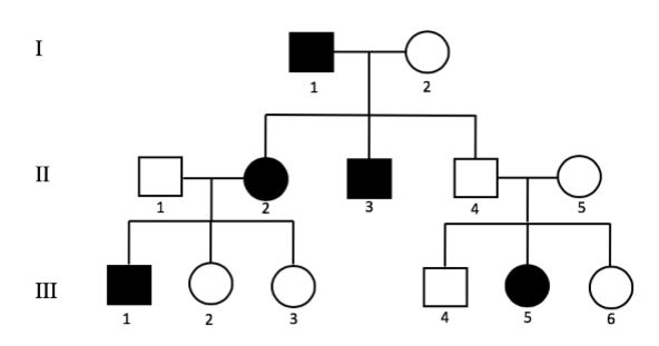 Solved For the given pedigree, determine what the possible | Chegg.com
