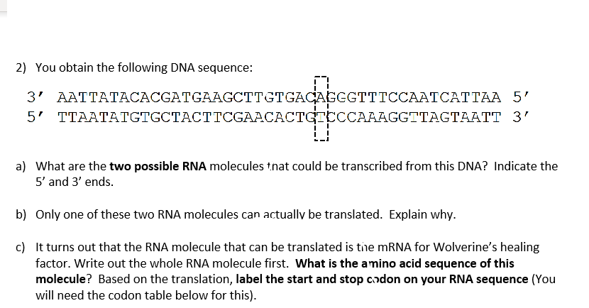Solved 2) You obtain the following DNA sequence: 3' | Chegg.com