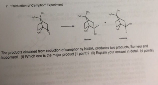 Solved Reduction of Camphor Experiment The products | Chegg.com