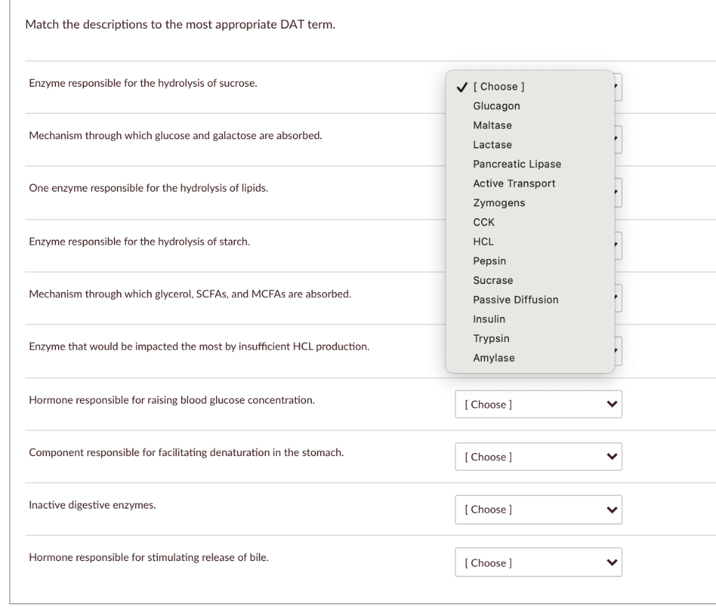 Solved Match the descriptions to the most appropriate DAT | Chegg.com