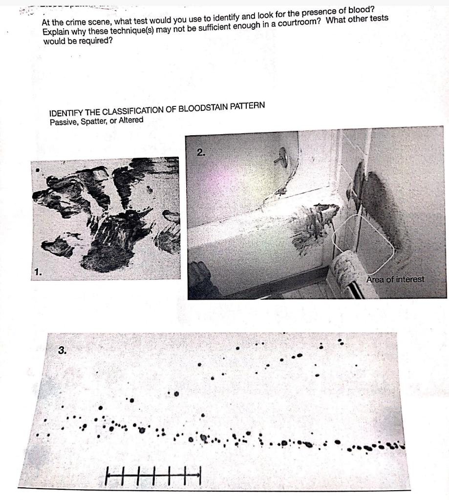 Solved At the crime scene, what test would you use to | Chegg.com