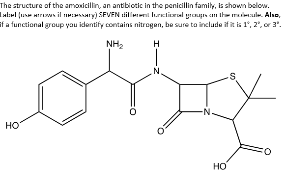 Solved The structure of the amoxicillin, an antibiotic in | Chegg.com