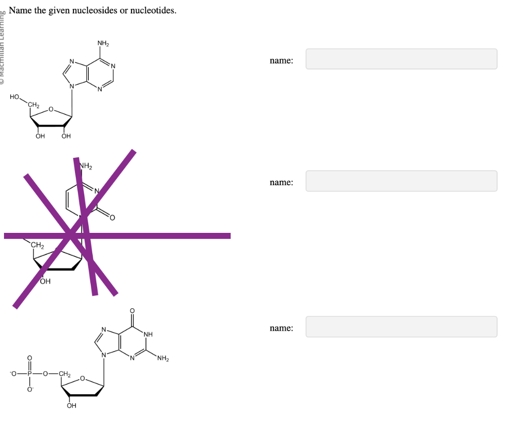 Solved Name the given nucleosides or nucleotides. name: | Chegg.com