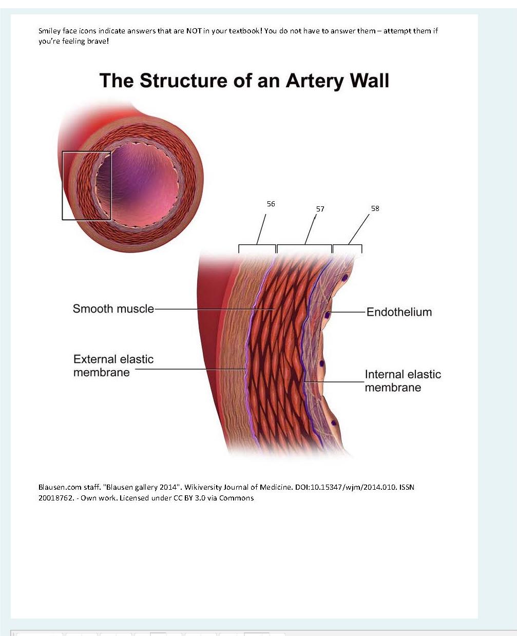 Solved Smiley face icons indicate answers that are NOT in | Chegg.com