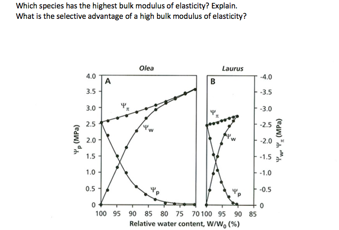 Solved Which species has the highest bulk modulus of | Chegg.com