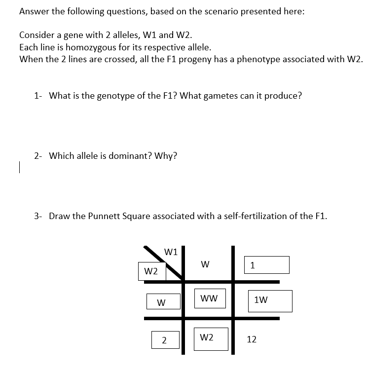 Solved I am truthfully not sure how to begin with question | Chegg.com