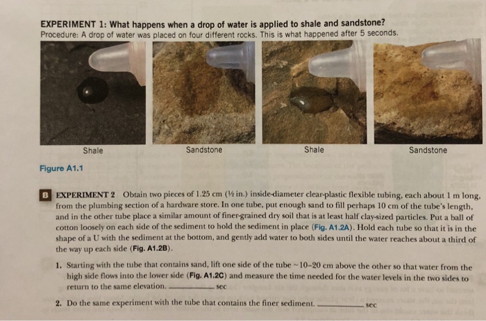 EXPERIMENT 1: What happens when a drop of water is | Chegg.com